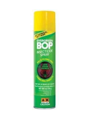 Bop Evergreen Insecticide 400ml – Aone Supermarkets